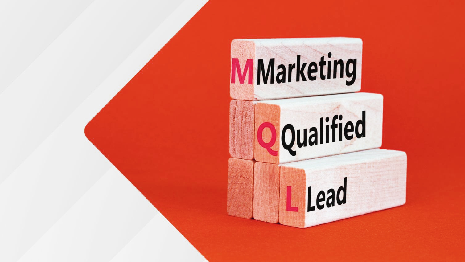 B2B List Building – EzConverse Media